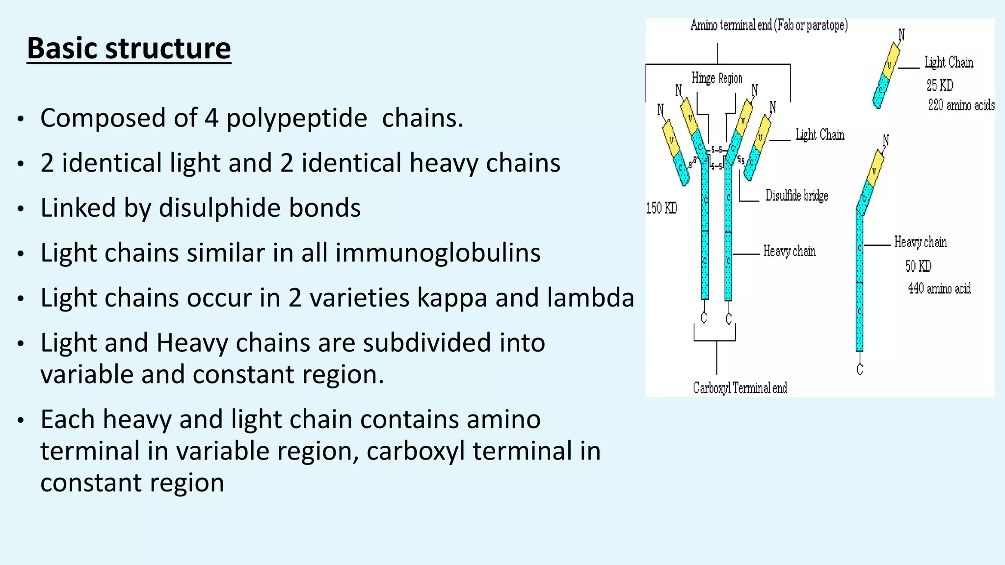 IMMUNITY | PPTX