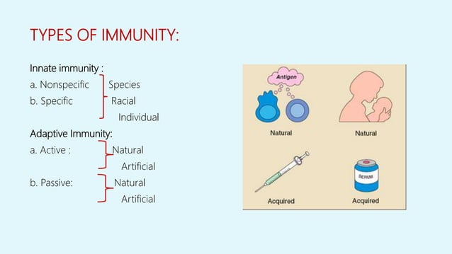 IMMUNITY | PPTX | Infectious Diseases | Diseases and Conditions