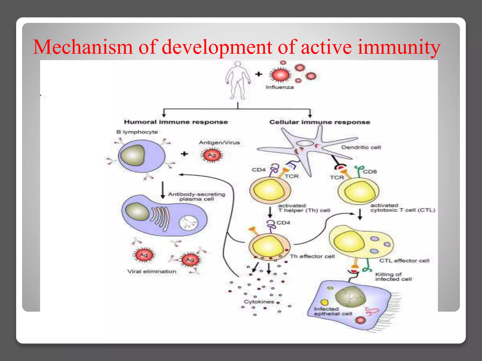 Immunity by Dr. Rakesh Prasad Sah | PPTX