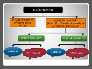 Immunity by Dr. Rakesh Prasad Sah | PPTX | Infectious Diseases ...