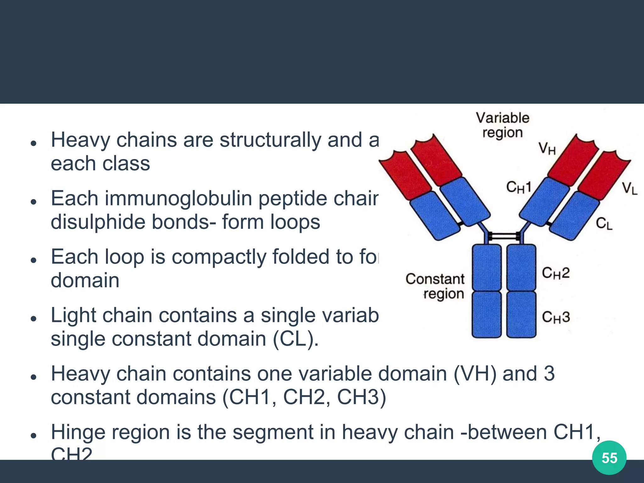 Immunity - The basic concept | PPT
