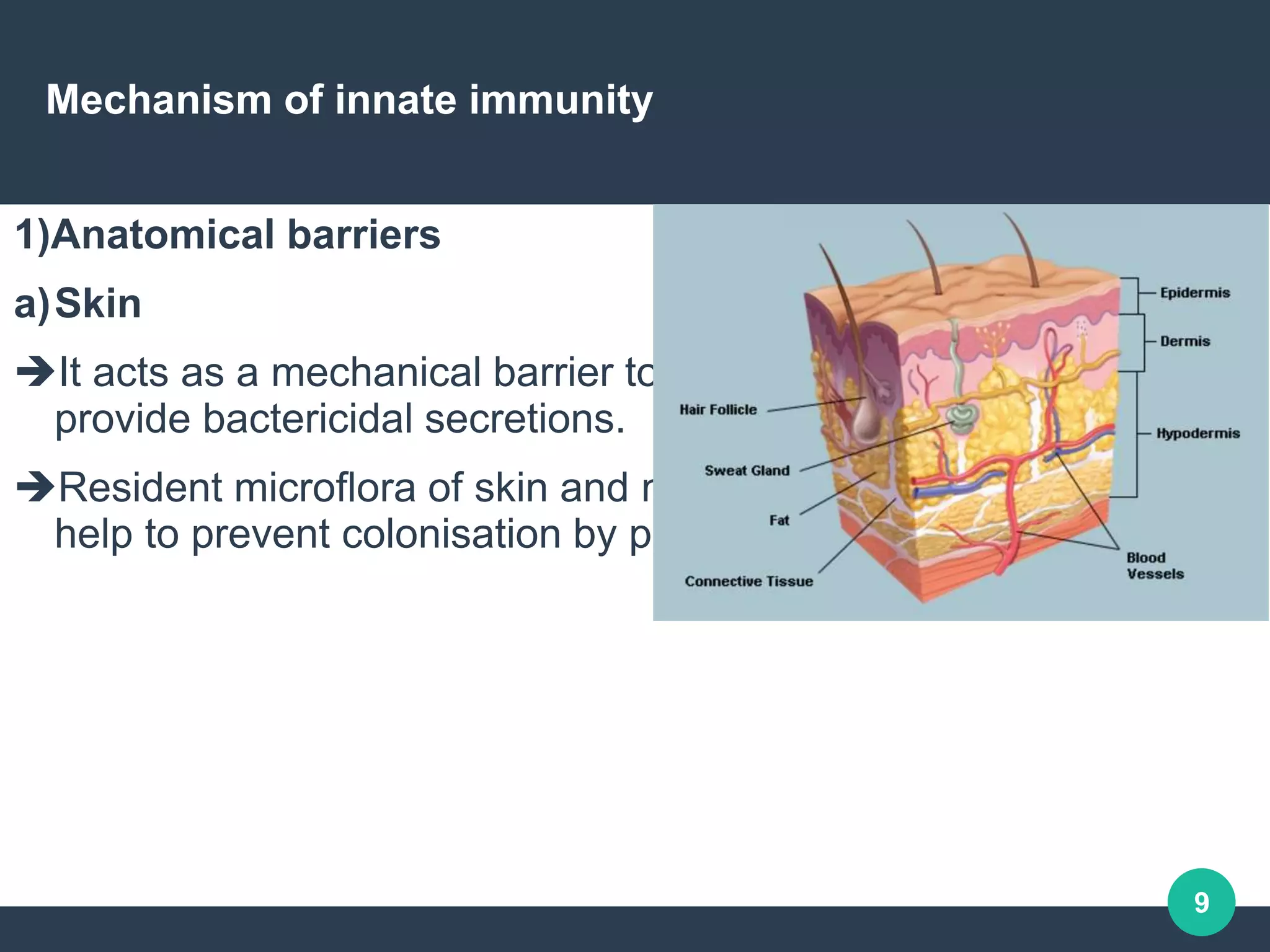 Immunity - The basic concept | PPT