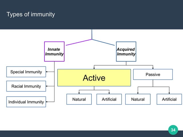 Immunity - The basic concept | PPT | Vaccines | Medical Health