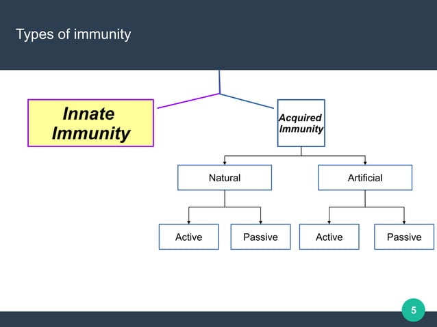 Immunity - The basic concept | PPT | Vaccines | Medical Health