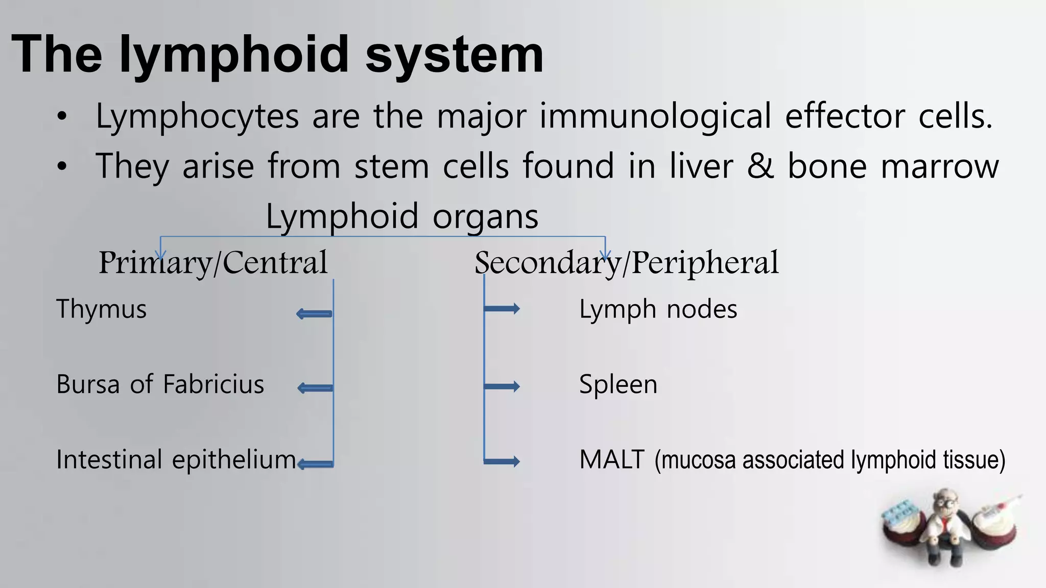 Immunochemistry | PPTX
