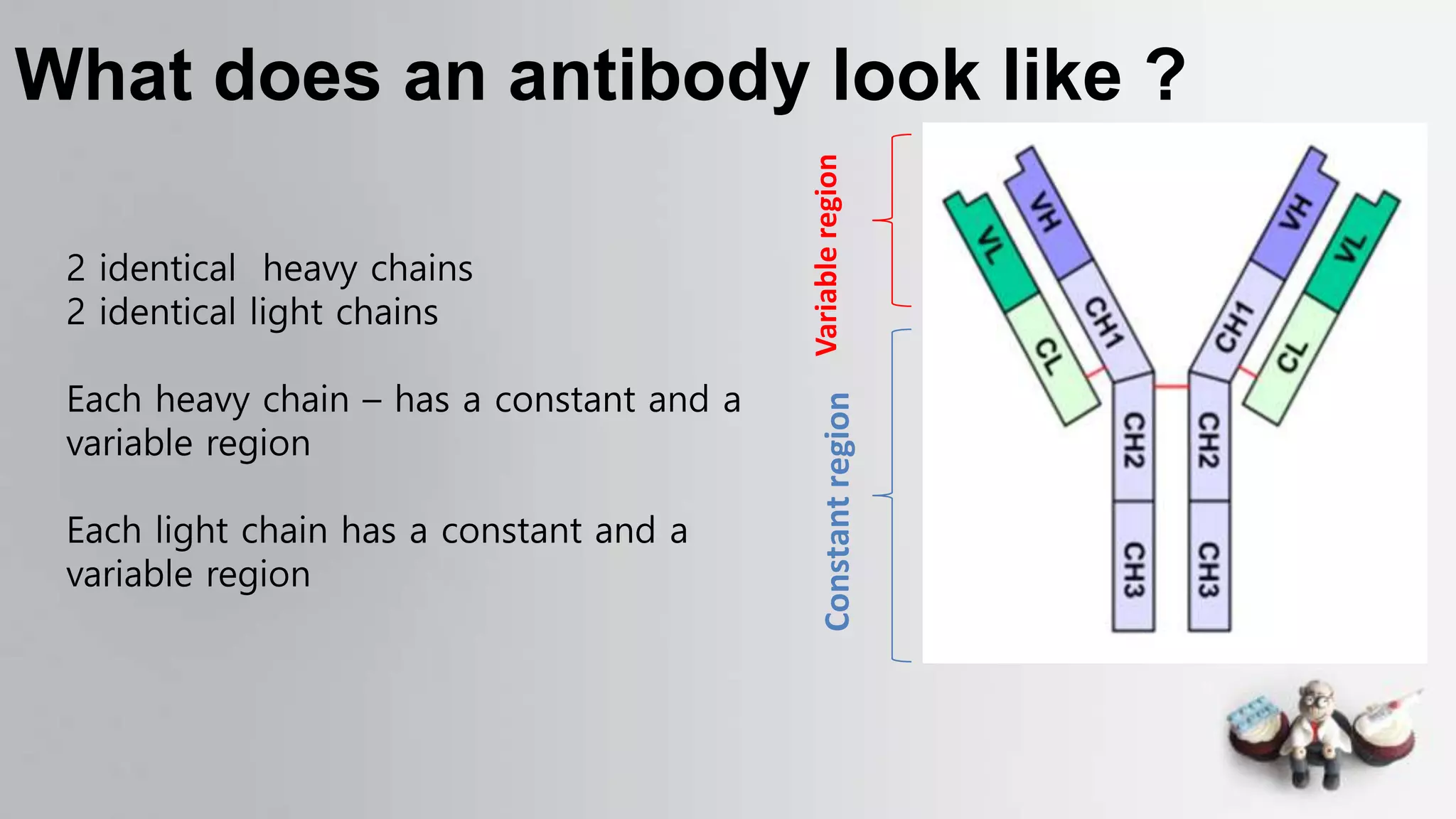 Immunochemistry | PPTX