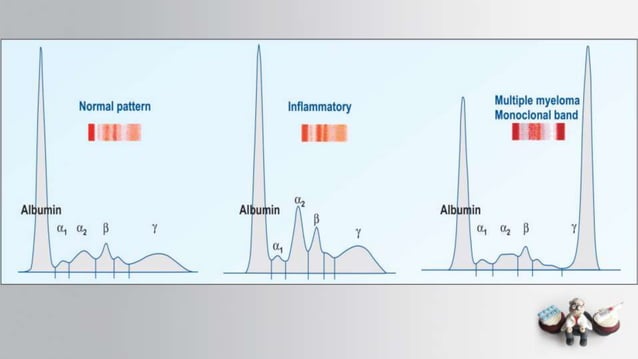 Immunochemistry | PPTX | Biological Sciences | Science