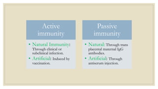 Immunity | PDF