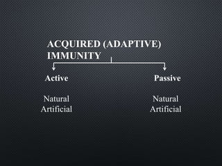 Immunity | PPT