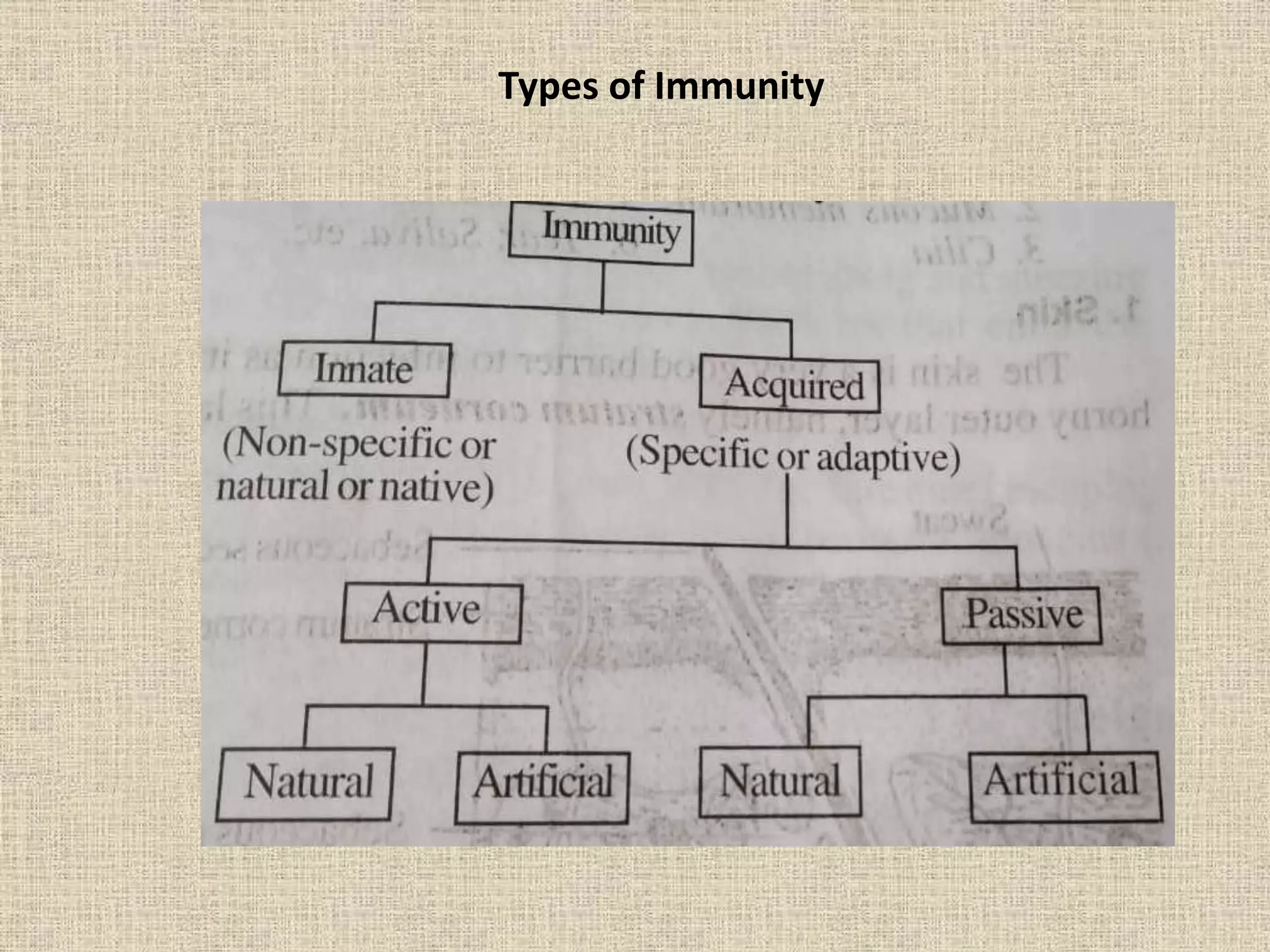 Immunity and their types | PPTX
