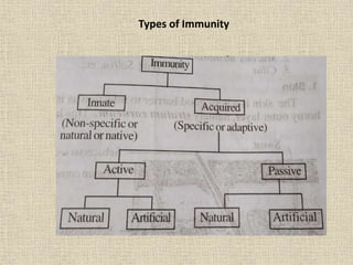 Immunity and their types | PPTX