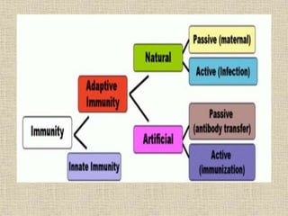 Immunity and their types | PPTX