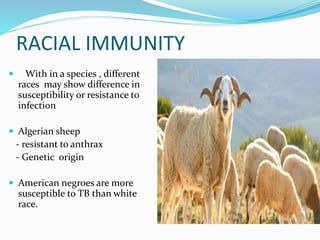 Immunity | PPTX | Infectious Diseases | Diseases and Conditions