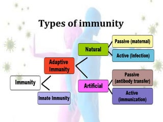 Immunity | PPTX