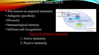 IMMUNITY.pptx