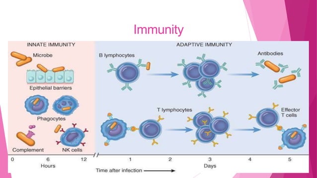 immunity.pptx