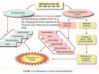 Immunity and immune system: Defense mechanism of the body | PDF