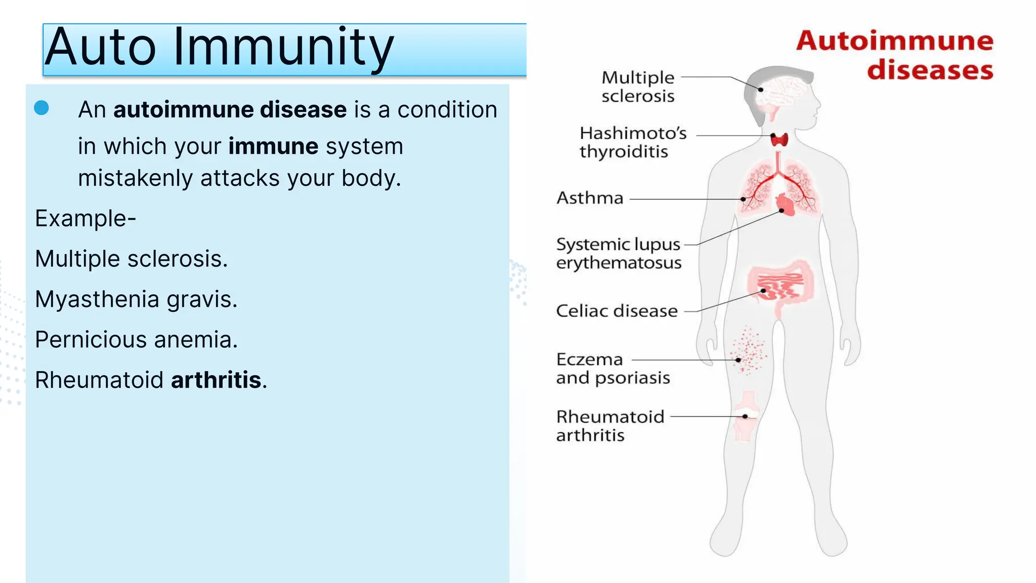 Immunity.pdf. presentation for class XII, Biology | PDF