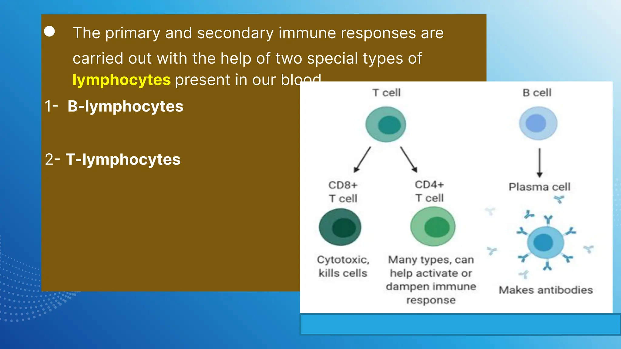 Immunity.pdf. presentation for class XII, Biology | PDF