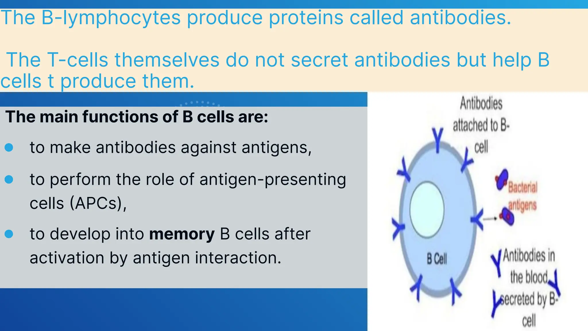 Immunity.pdf. presentation for class XII, Biology | PDF