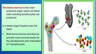 Immunity.pdf. presentation for class XII, Biology | PDF