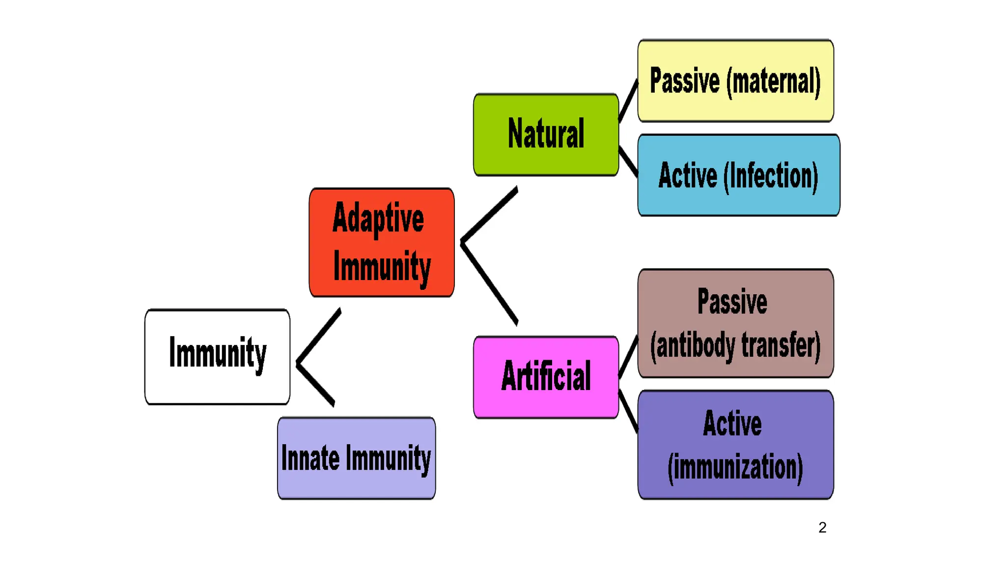 IMMUNITY IN MEDICAL NURSING AT UNIVERSITY | PPTX