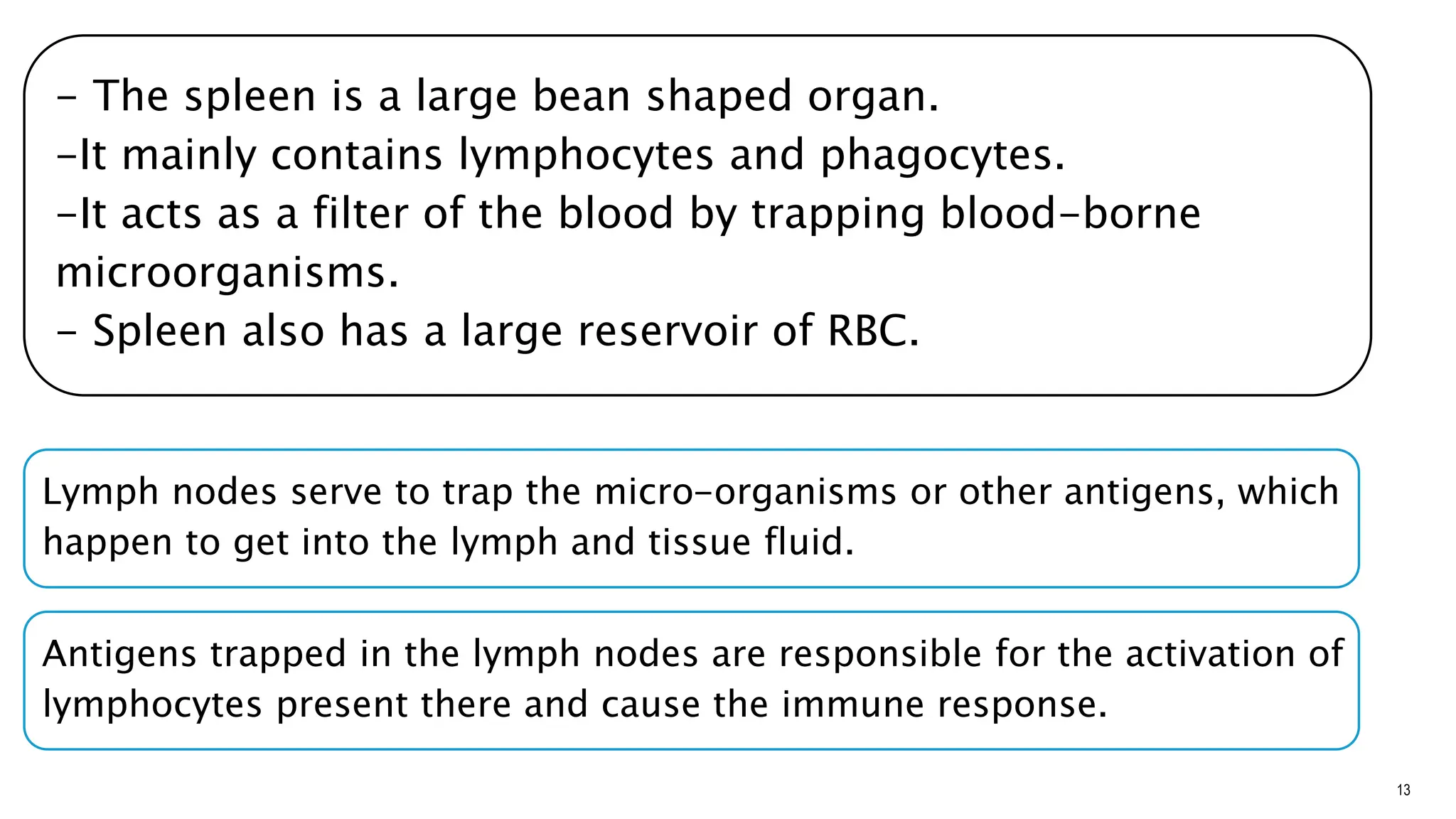 Immunity Class XII Biology based on NCERT.pptx