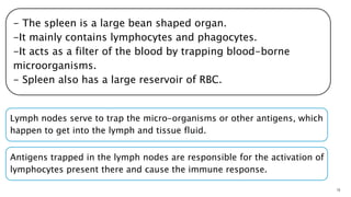 Immunity Class XII Biology based on NCERT.pptx