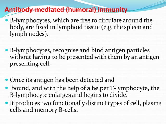 Immunity.pptx Human anatomy and physiology | PPTX
