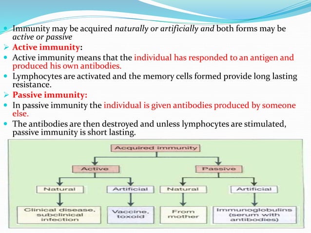 Immunity.pptx Human anatomy and physiology | PPTX