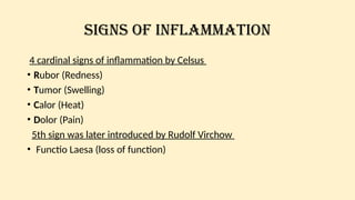 immunity in periodontology study perio.pptx