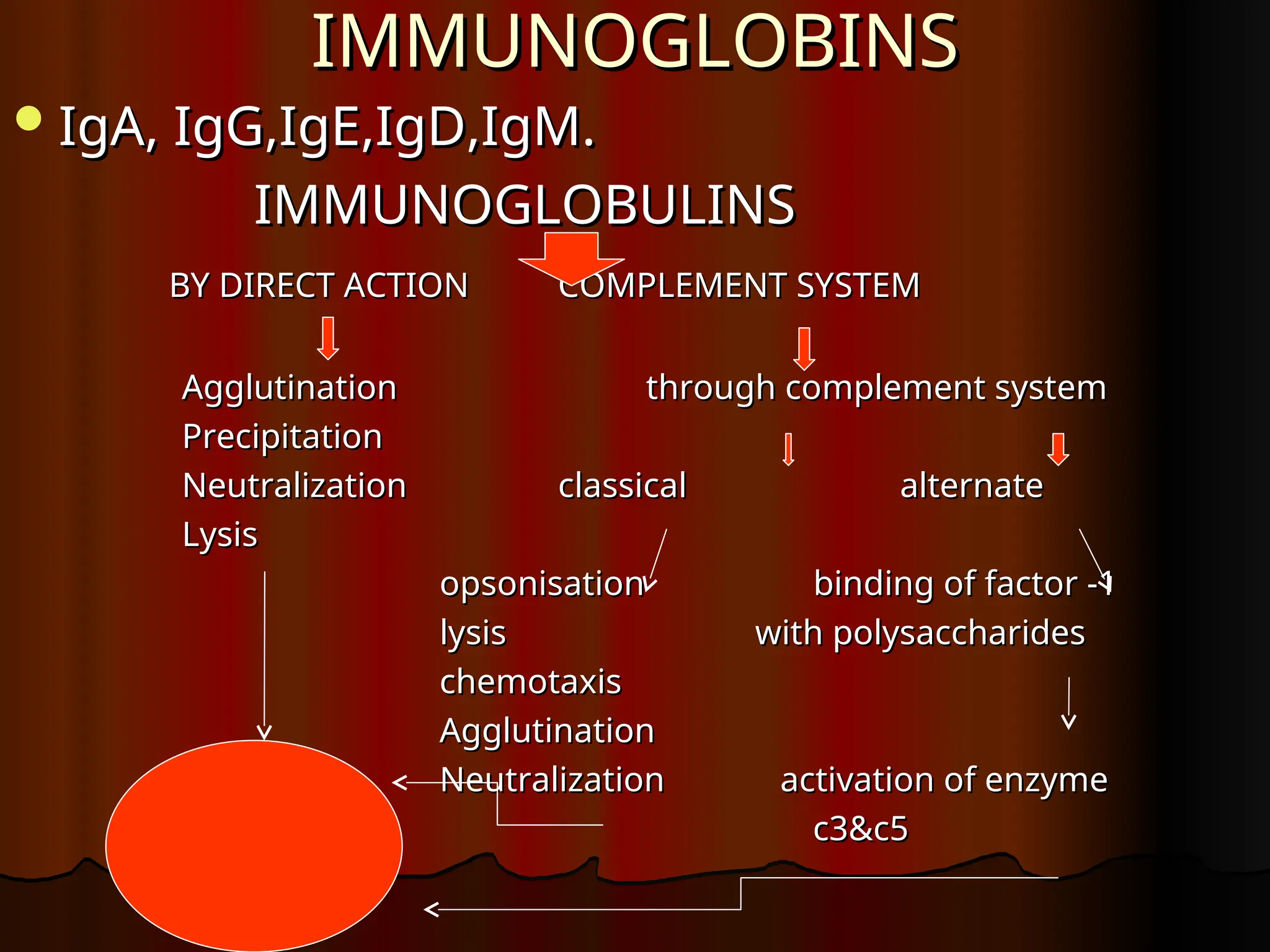 Immune mechanism based on general discussion on immune mechanism | PPT