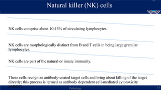Immunity.pptx pathology . | PPTX