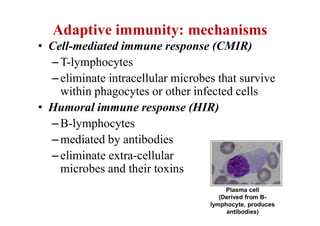 IMMUNITY.pdfImmune system – the integrated body system of organs ...
