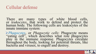 Immunity in english | PPTX