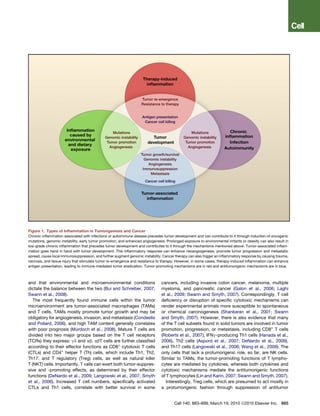Immunity,-Inflammation,-and-Cancer_cell.pdf
