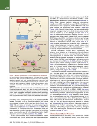 Immunity,-Inflammation,-and-Cancer_cell.pdf