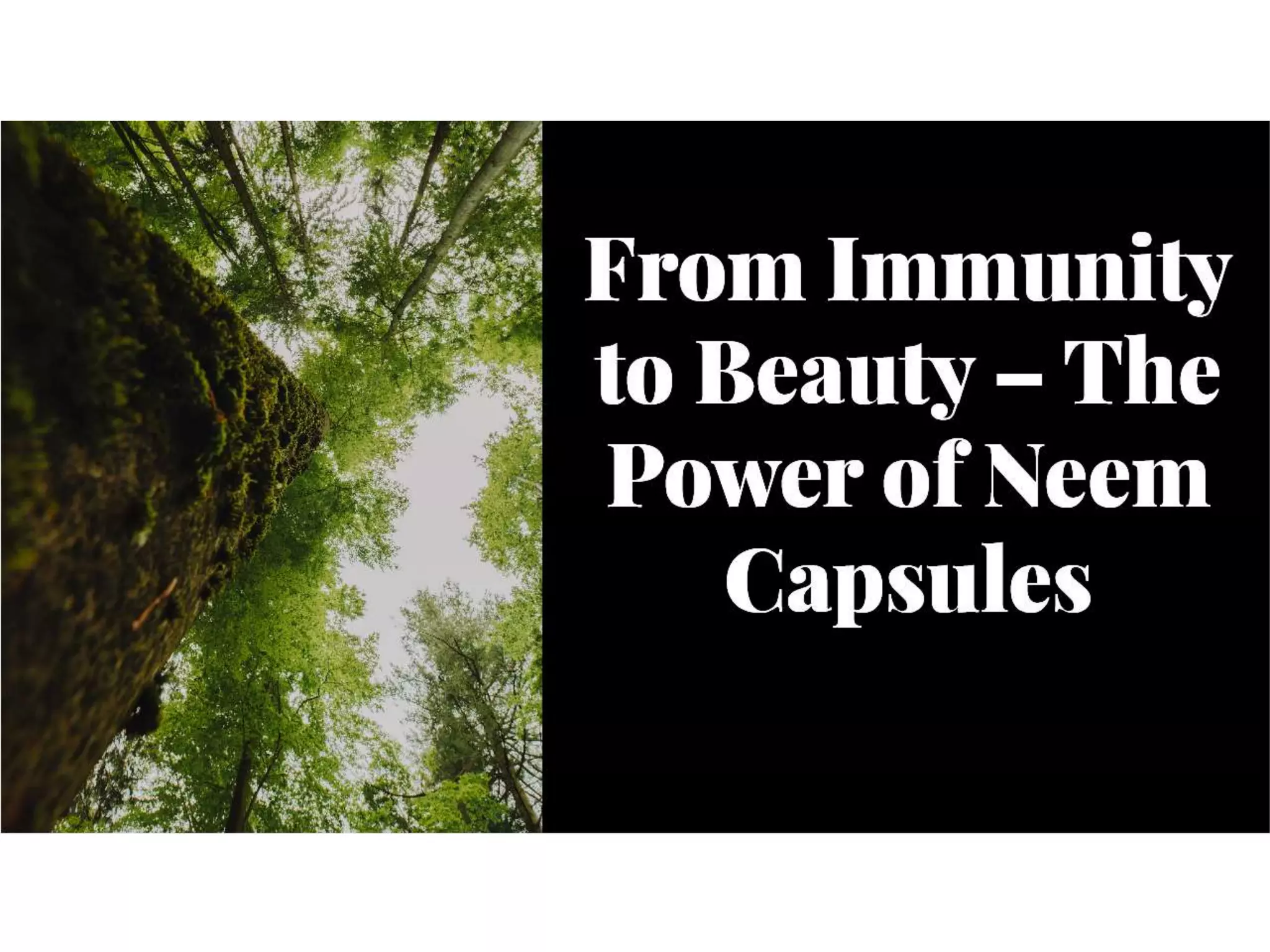 From Immunity to Beauty – The Power of Neem Capsules | PPT