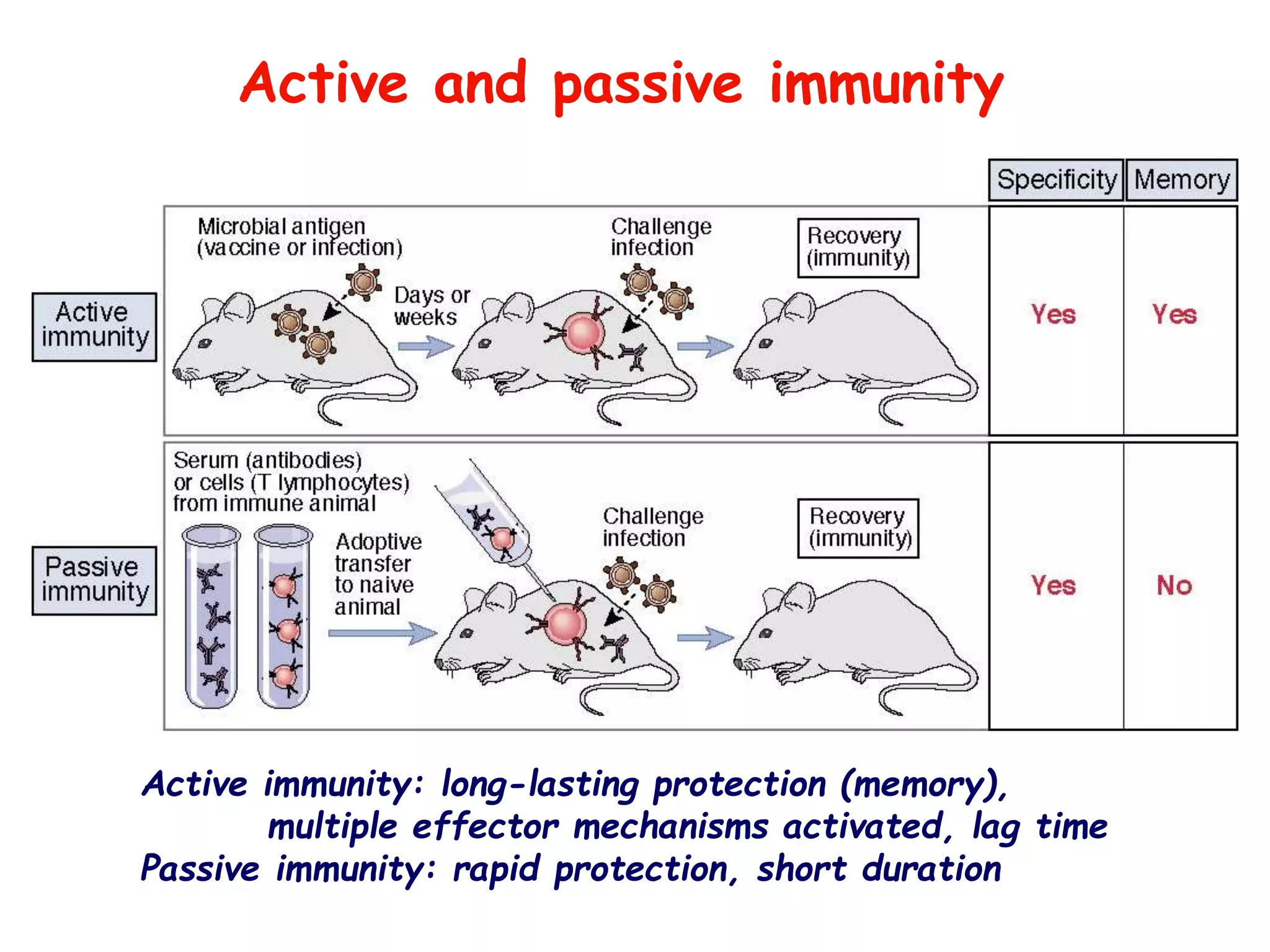 Immunity physiology .pptx