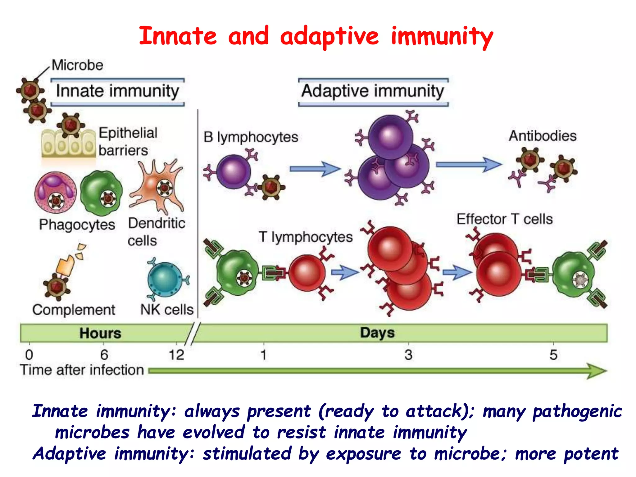 Immunity physiology .pptx