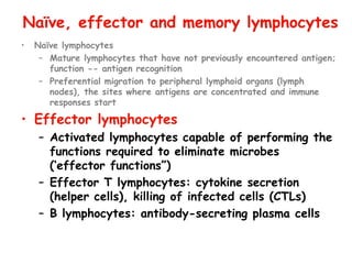 Immunity physiology .pptx