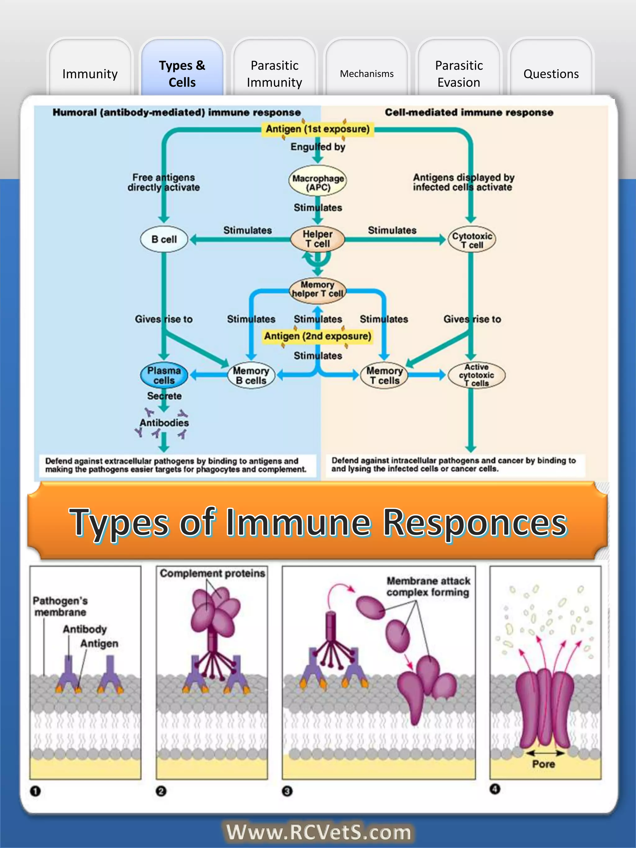 Immunity Against Parasite | PPTX
