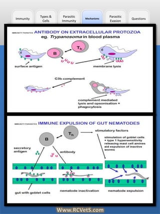 Immunity Against Parasite | PPTX