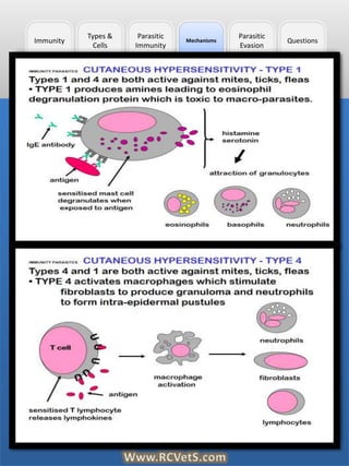 Immunity Against Parasite | PPTX