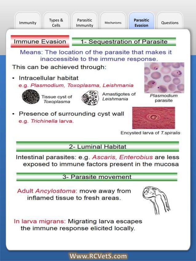 Immunity Against Parasite | PPTX