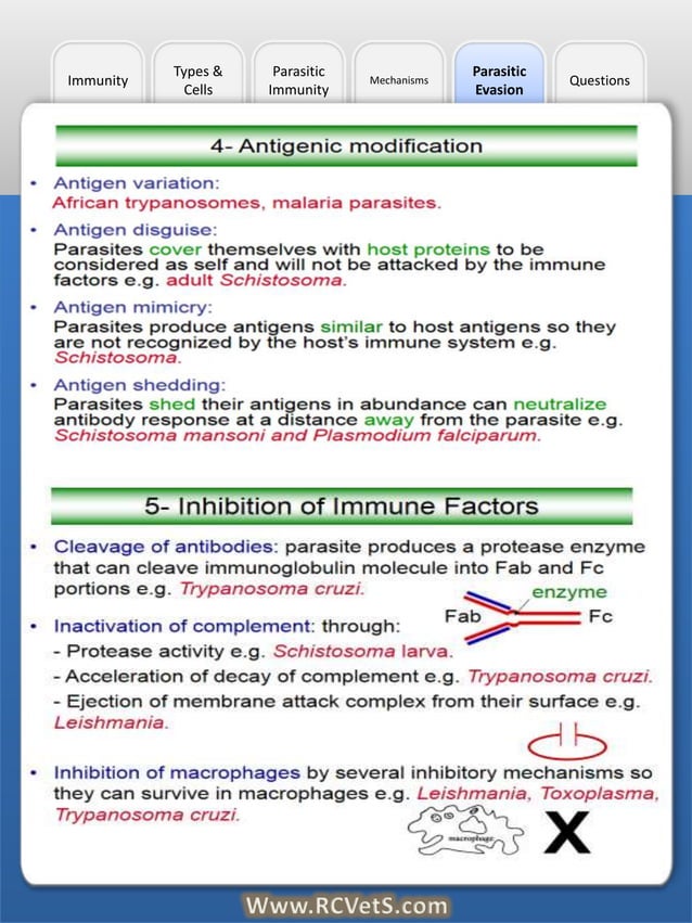 Immunity Against Parasite | PPTX