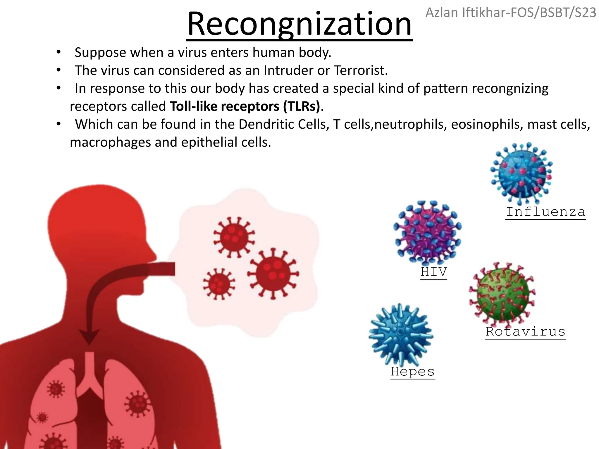 Immunity Against Viruses. | PPTX