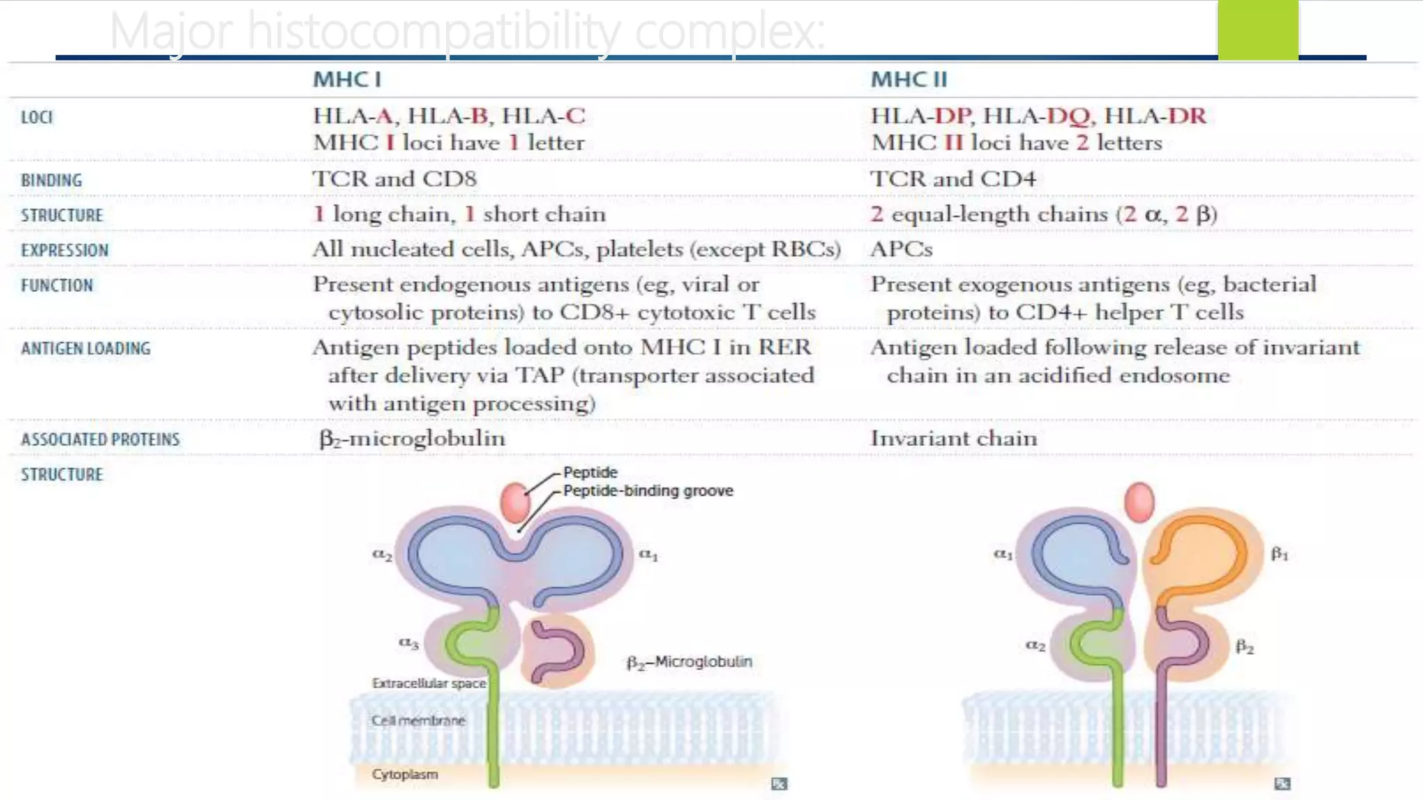 Immunology and Hypersensitivity reaction | PPT