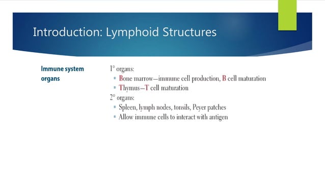 Immunology and Hypersensitivity reaction | PPT