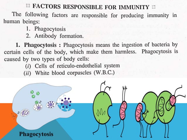Immunity and immunological products. | PPTX